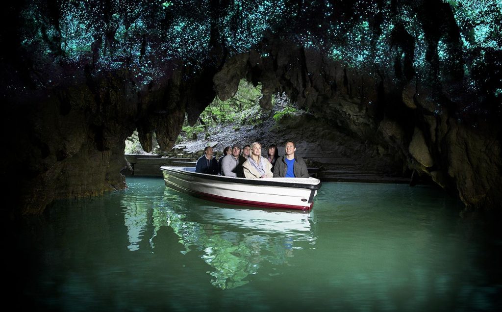 Waitomo caves, les grottes de vers luisants de Nouvelle-Zélande ...